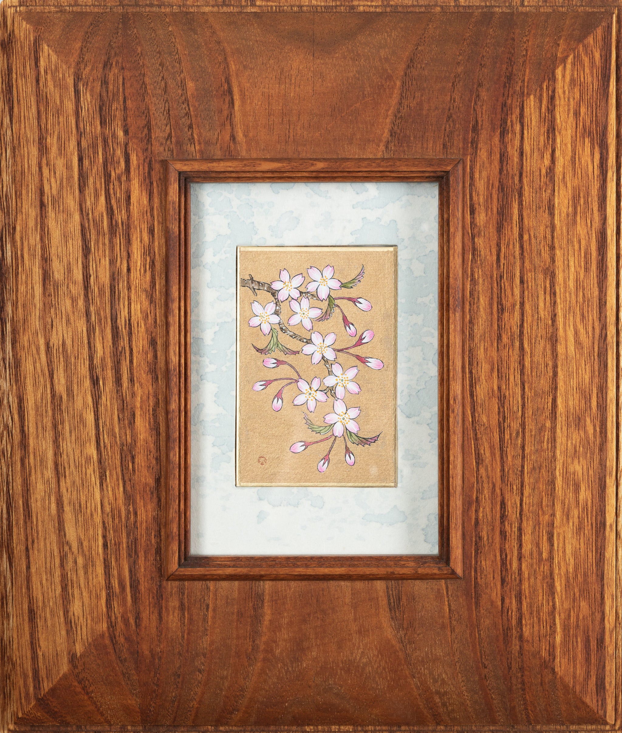 Small denomination "Sakura" Hanafuda cards